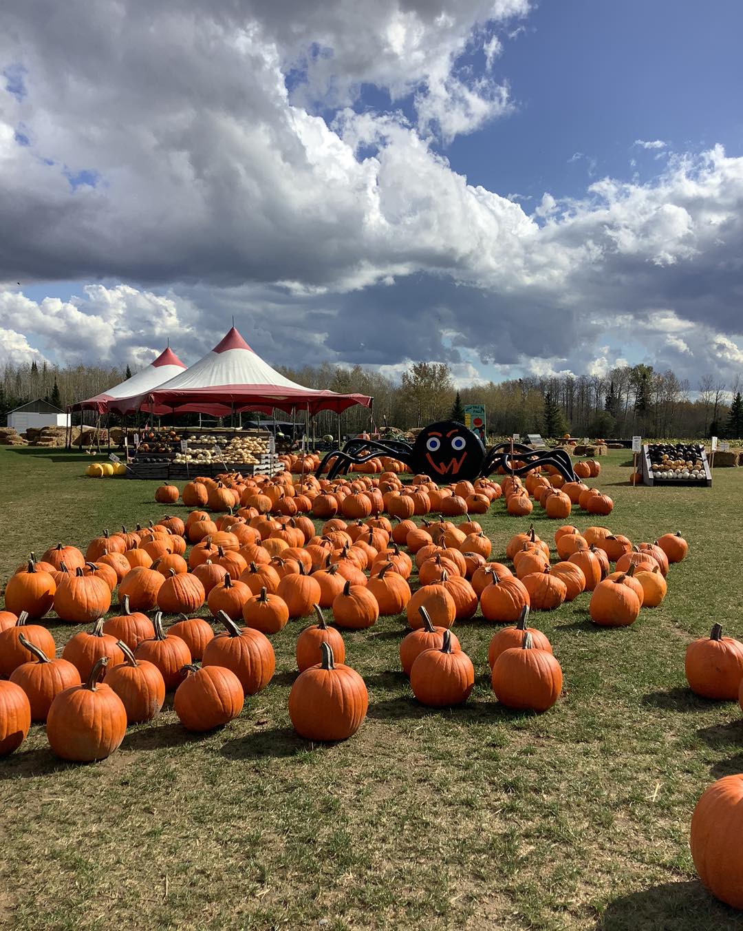 Fall Fun Days – Aidie Creek Gardens